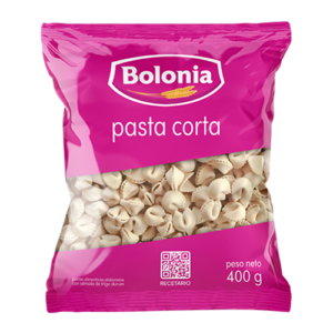 Bolonia - Sucesores